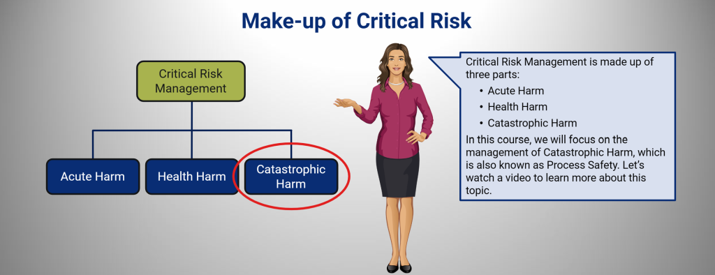 Critical Risk Management for Directors and Executives - Process Safety LMS